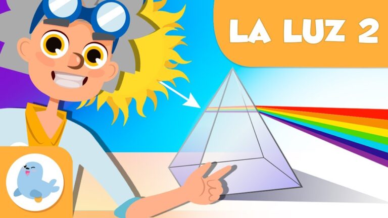 ¿Qué es la Reflexión en Ciencias Naturales? Definición y Ejemplos ...